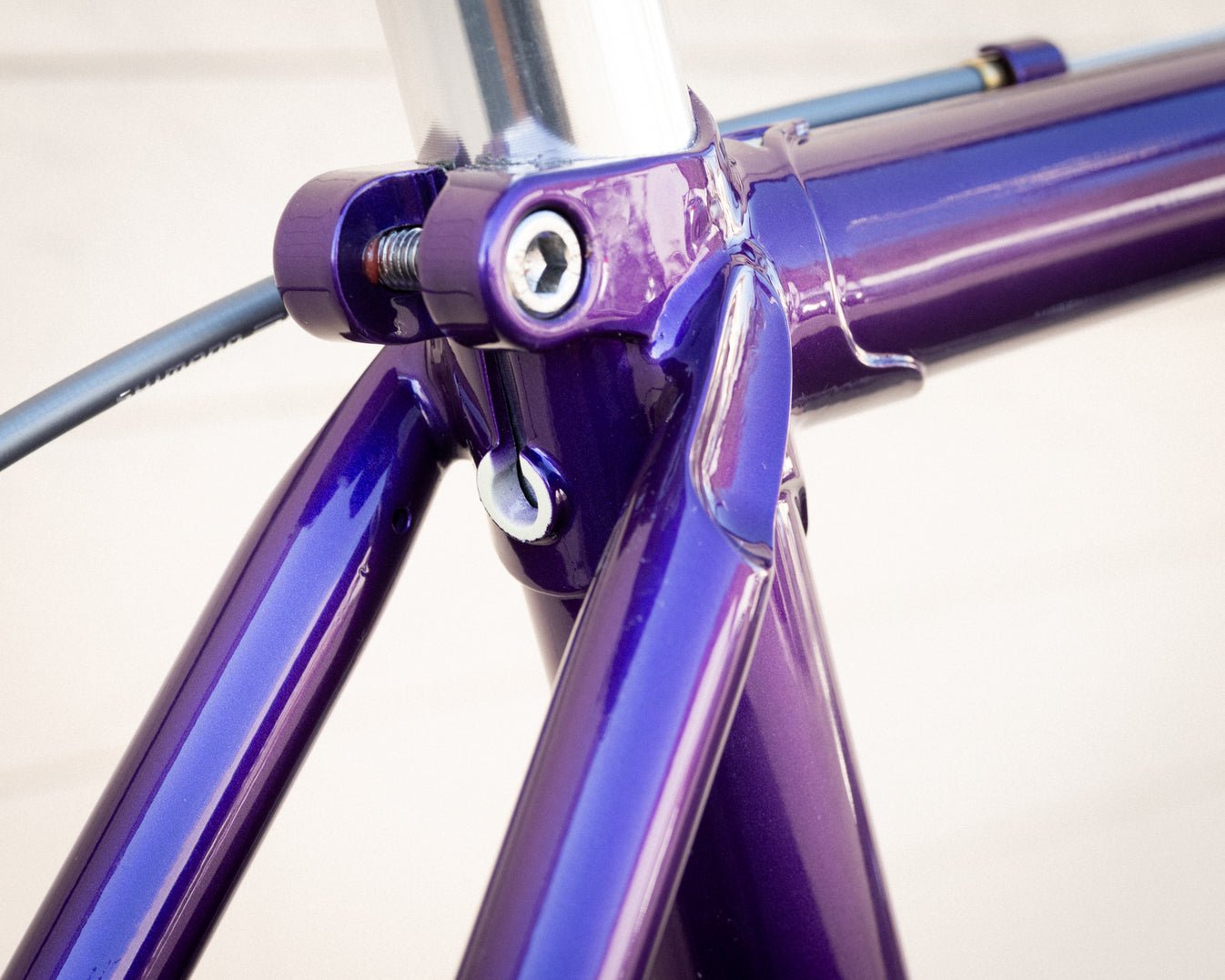 Frame - Appaloosa 2024 – Rivendell Bicycle Works
